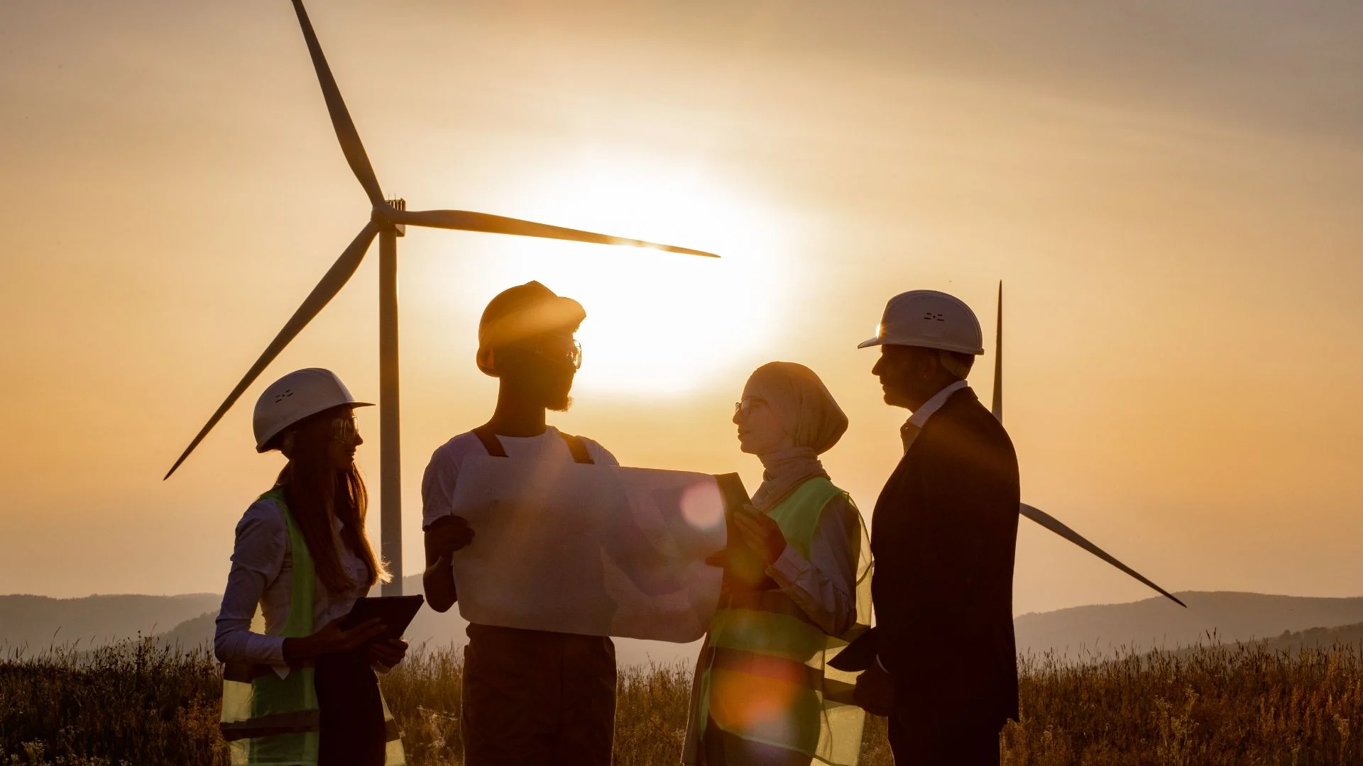 Effective Energy Audits for Heat Decarbonisation Plans